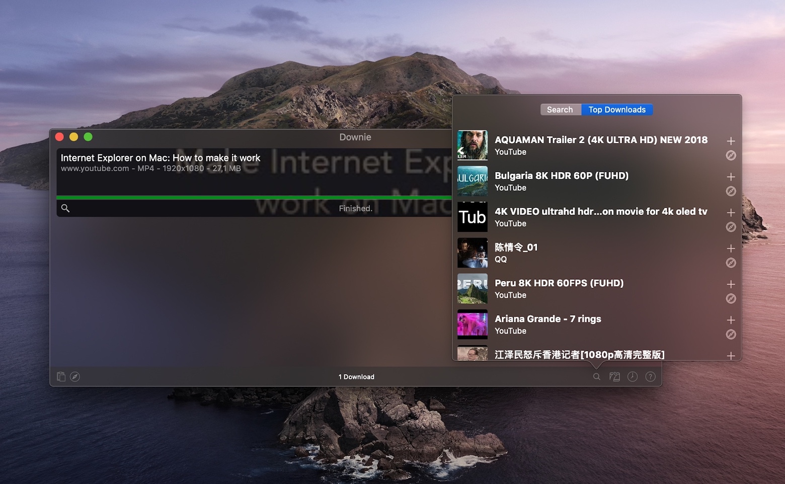 Top 12 YouTube video downloaders