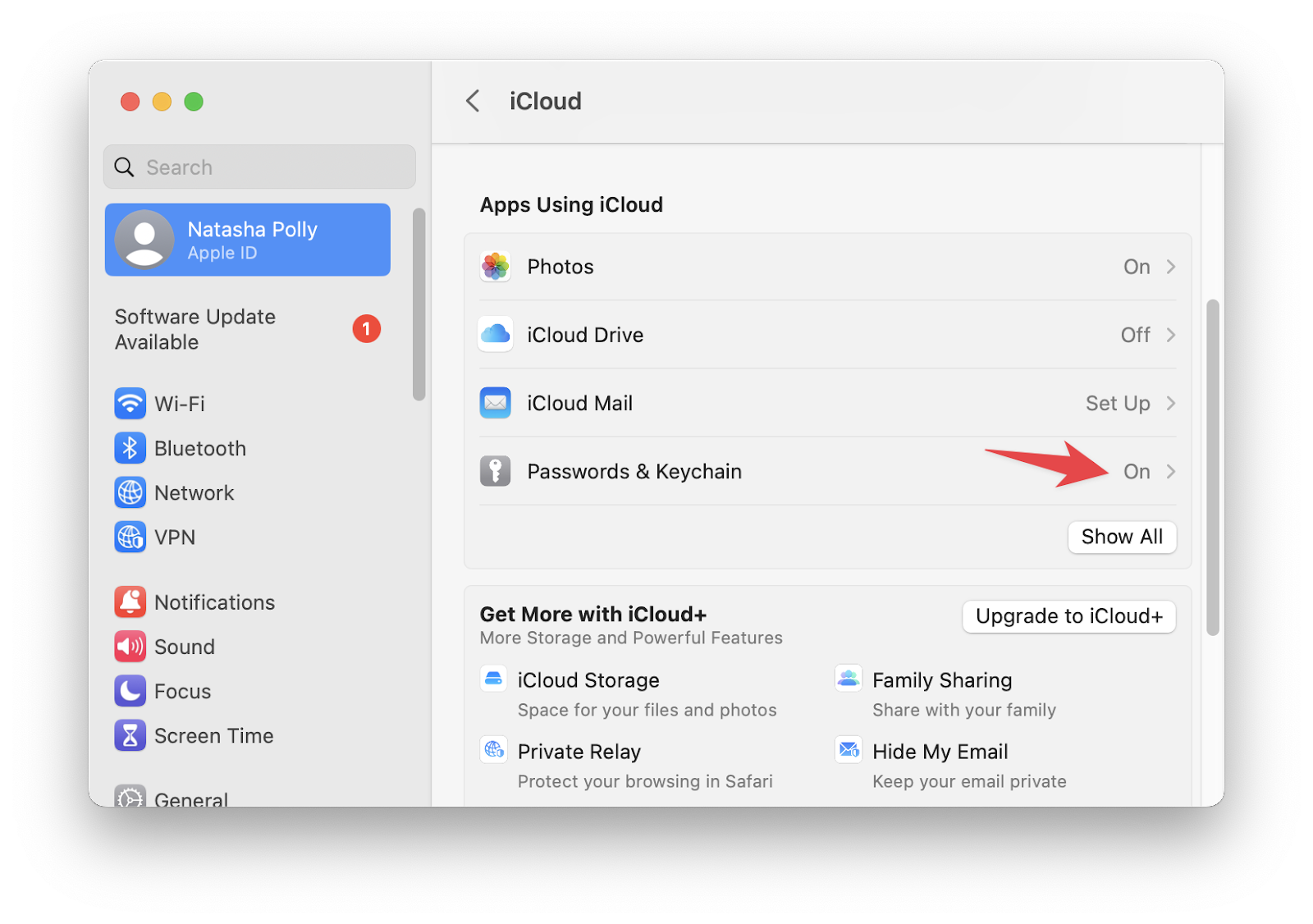 How to find passwords on Mac