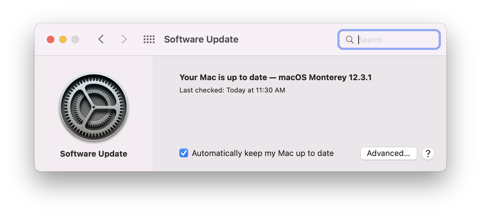 How to fix the “system has run out of application memory” Mac issue