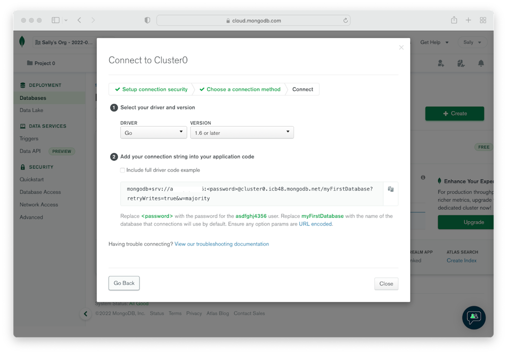 How To Use Go With Mongodb