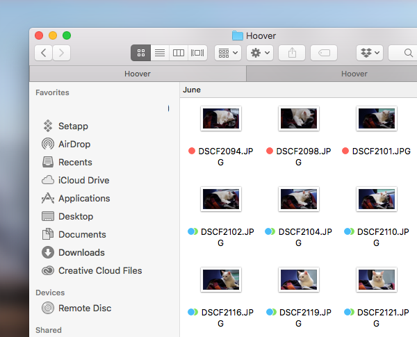 How to organize files and folders on your Mac