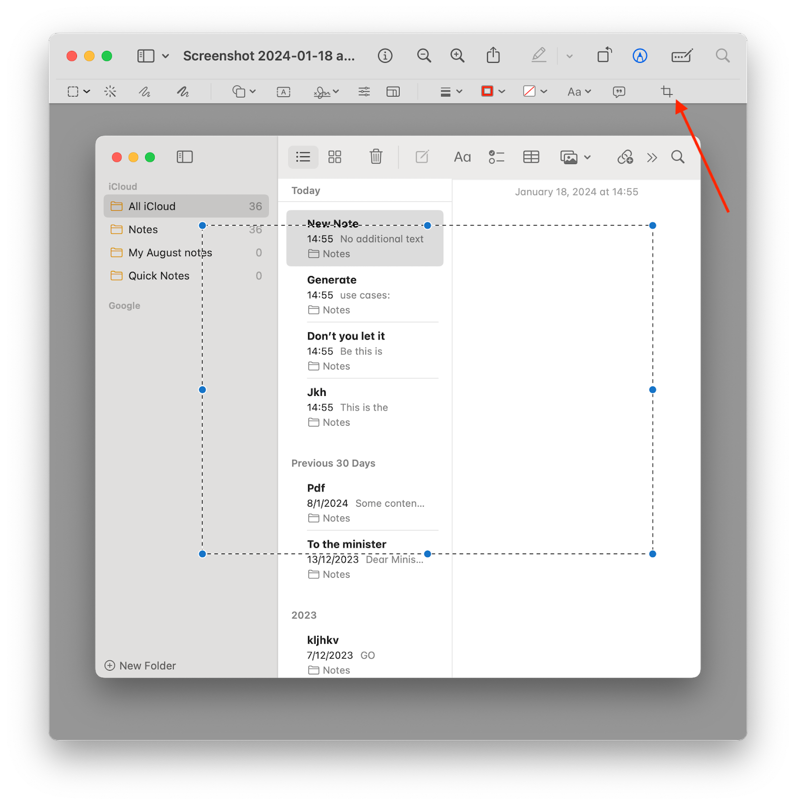 How to crop a screenshot on Mac [2024]