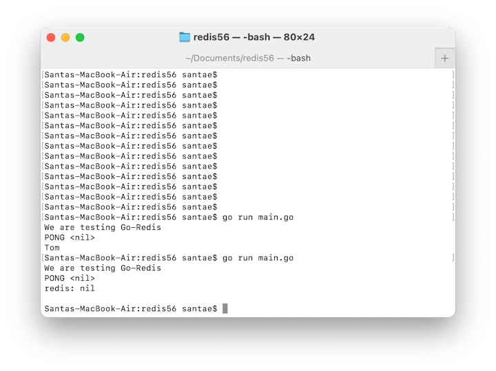 How To On Using Redis As A Database For Golang Projects
