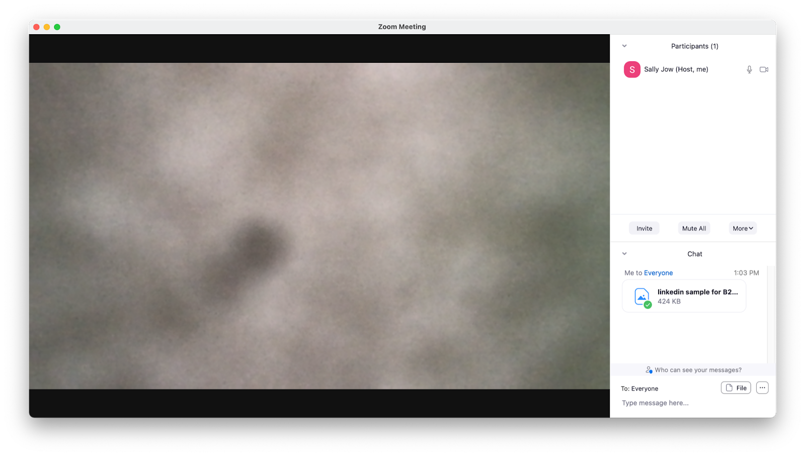 Common reasons for Zoom not working and how to fix them